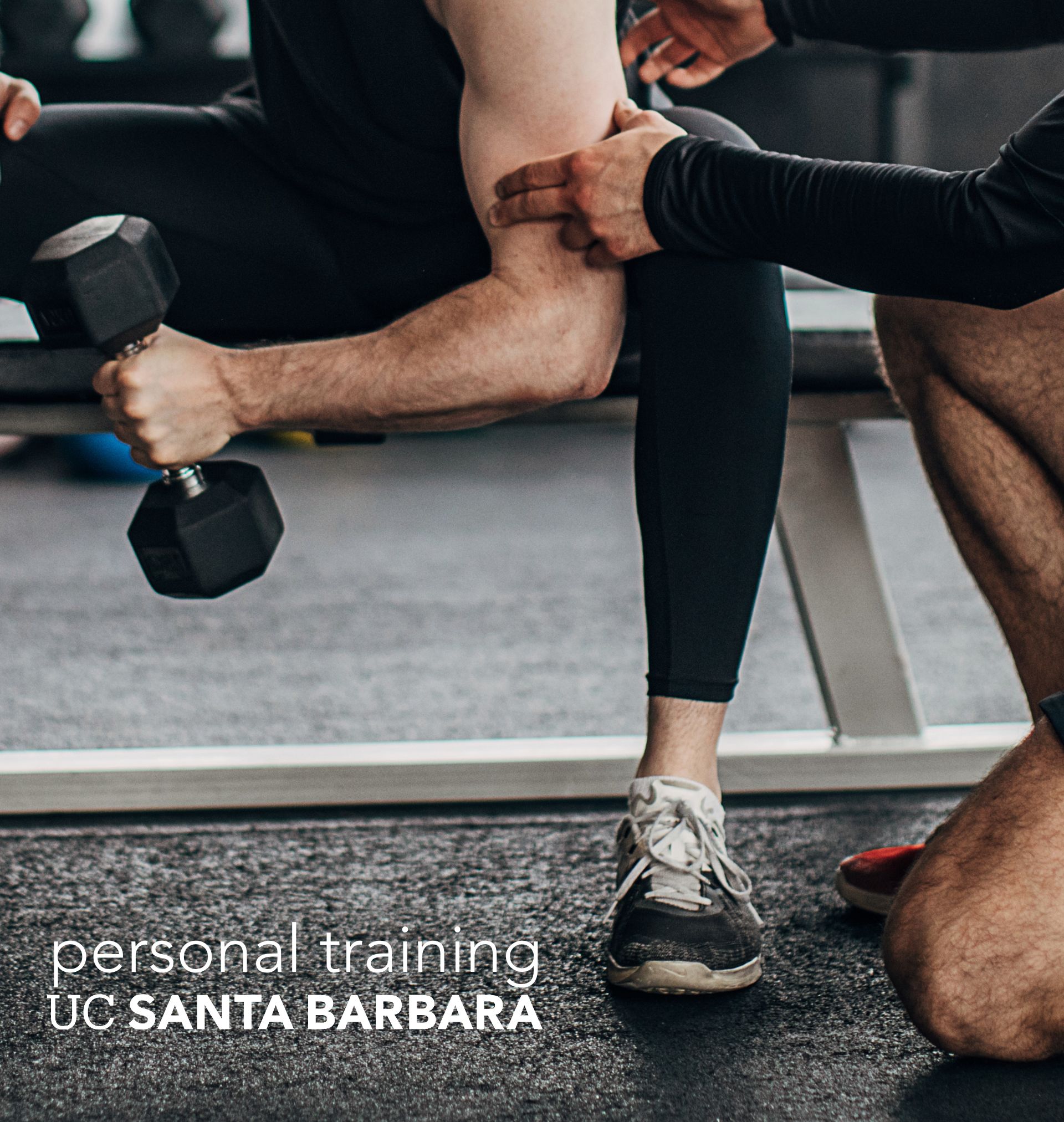 Proactive Wellness | Wellbeing